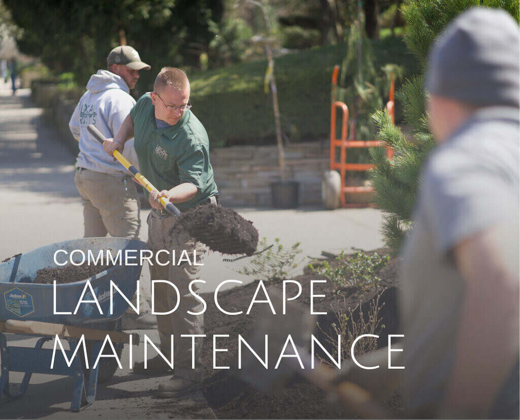 Pittsburgh, PA Residential & Commercial Landscape Services | (412) 977-4616